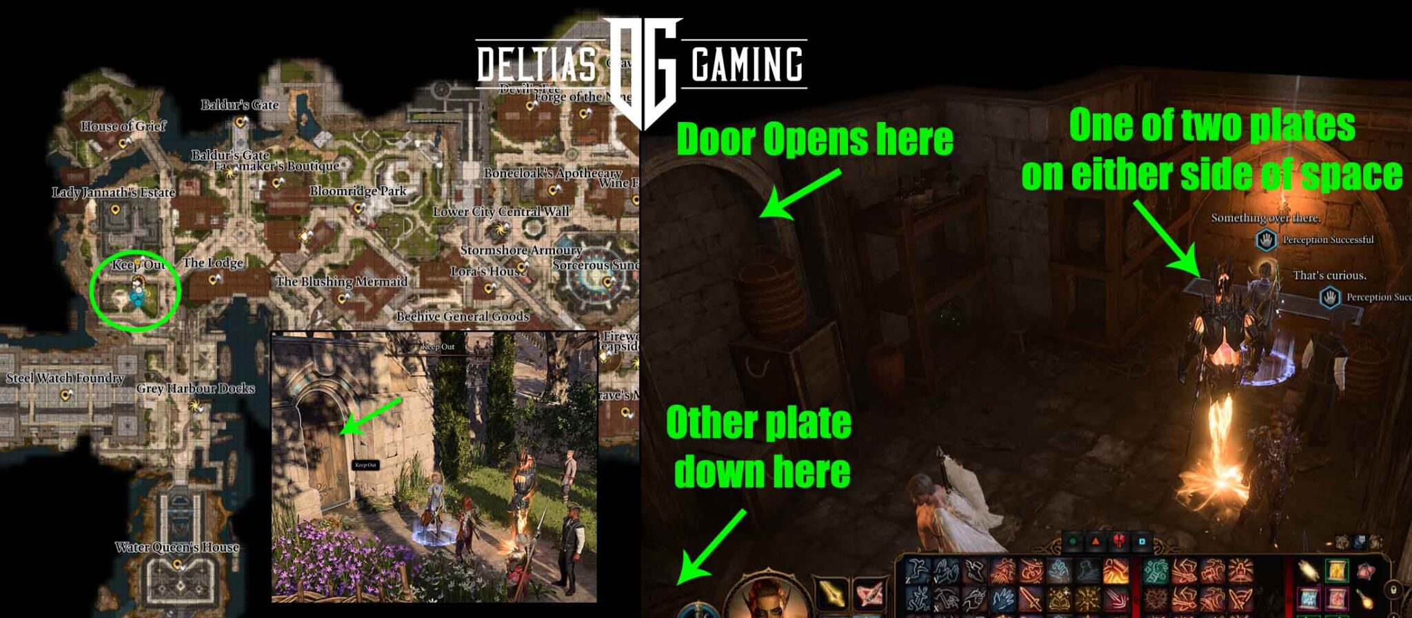 How To Get Elegant Studded Leather in Baldur’s Gate 3 - Deltia's Gaming